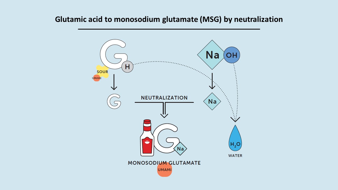 What is MSG and How is it Made? | MSG (Monosodium Glutamate ...