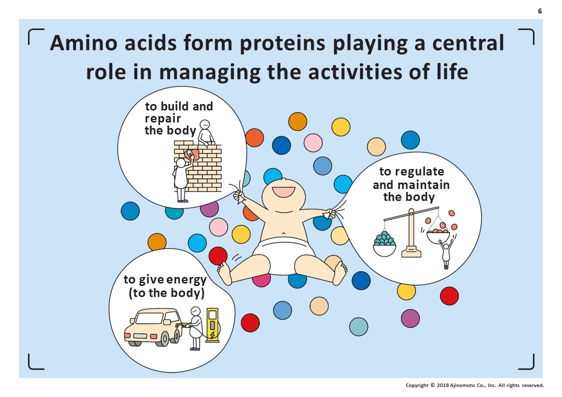 What is MSG and How is it Made? | MSG (Monosodium Glutamate ...